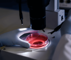 Pharmaceutical Testing Laboratory in India | ISSPL LAB